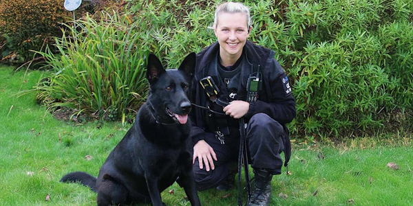 Dispatch - Tendring Edition - issue 70