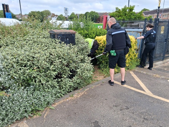 Dispatch - Southend Edition - issue 104