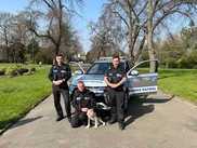 Community Safety newsletter - March 2022