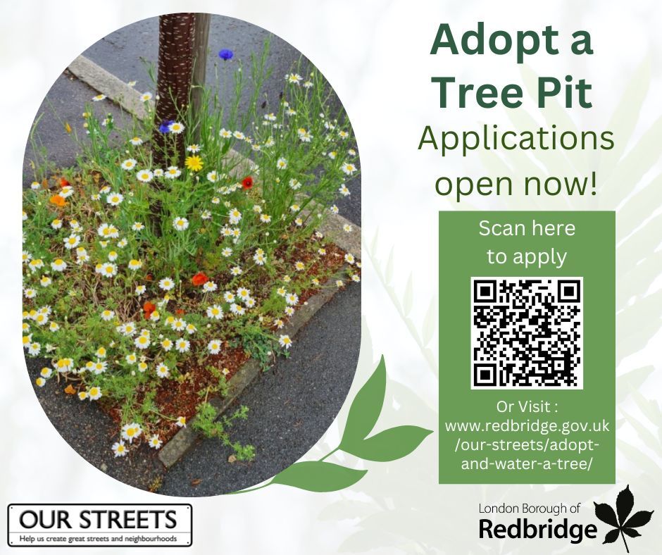 Our Streets Newsletter October 2022