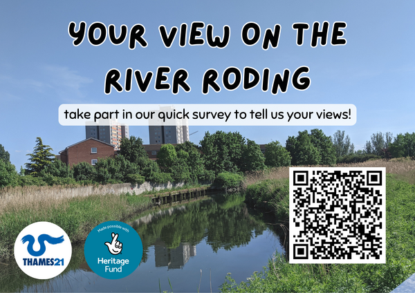 Our Streets Newsletter March 2025