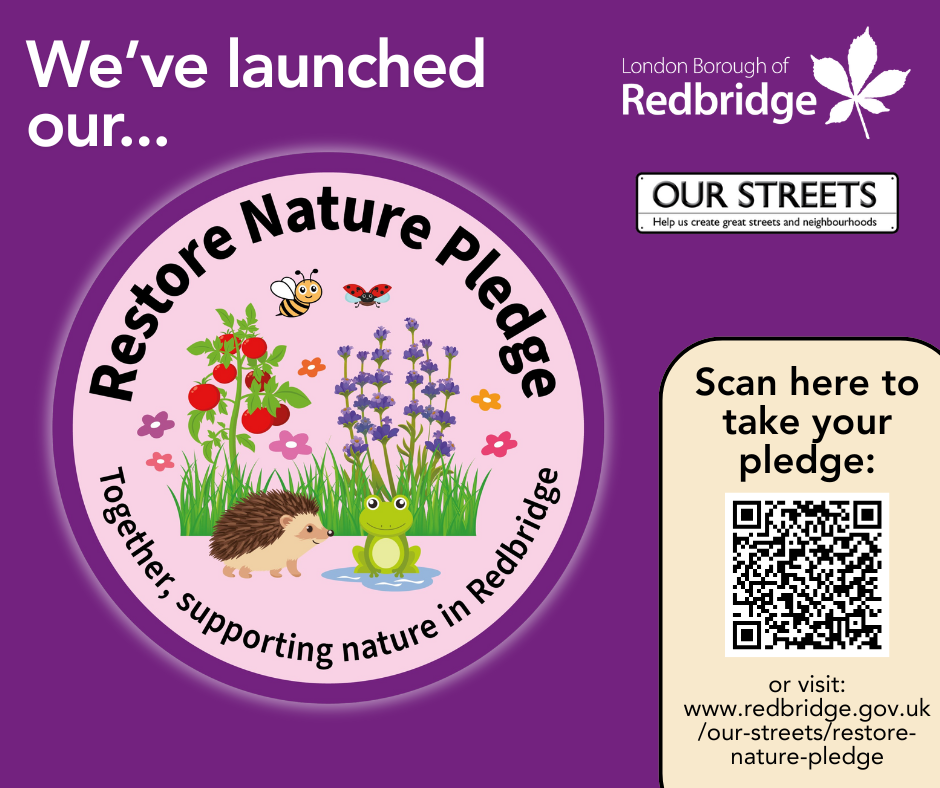 Our Streets Newsletter June 2025