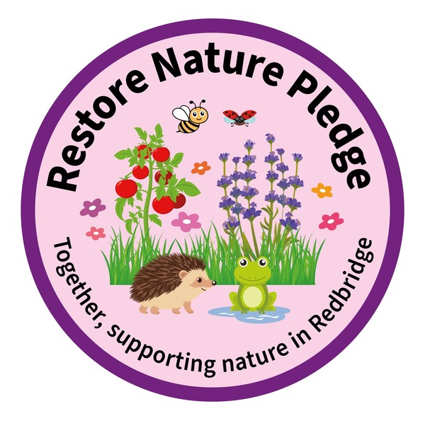 Our Streets Newsletter July 2025