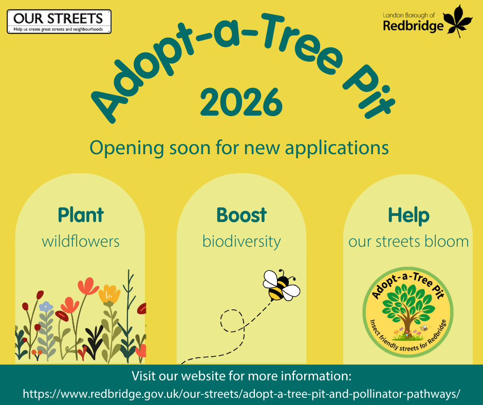 Our Streets Newsletter September 2025