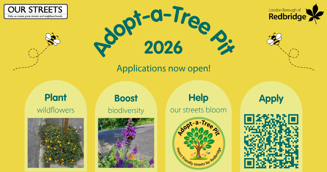 Our Streets Newsletter November 2025