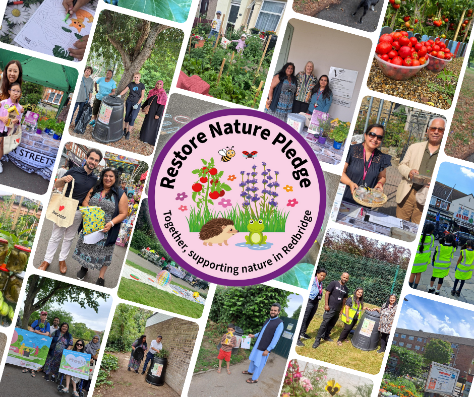 Our Streets Newsletter January 2026