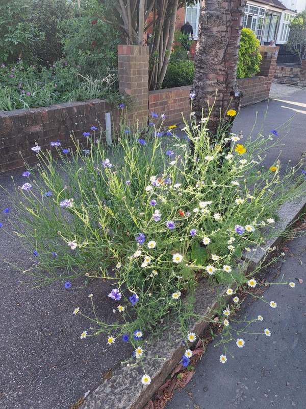 Our Streets Newsletter June 2026