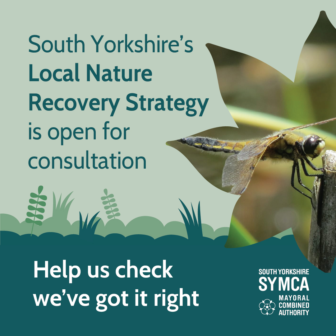 News from Rotherham Council - Rotherham West - June 2026