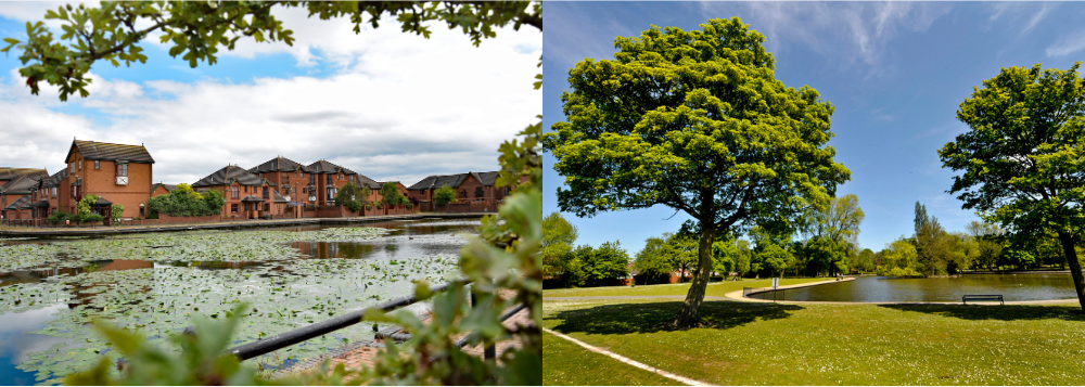 Your latest Sandwell news and events update