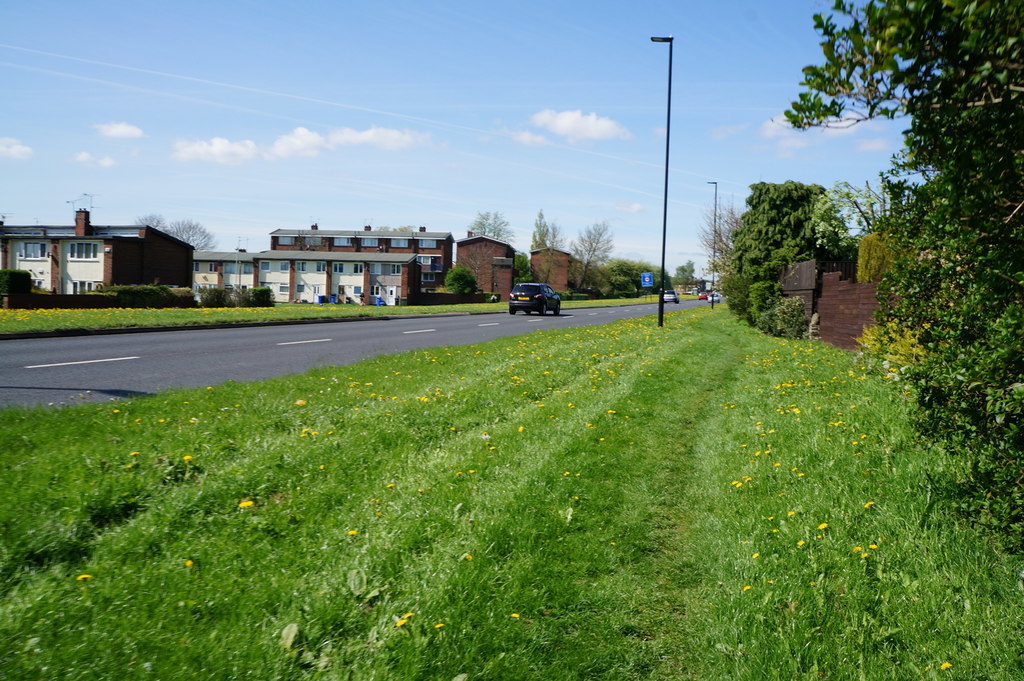 Grass verges - tell us what you think