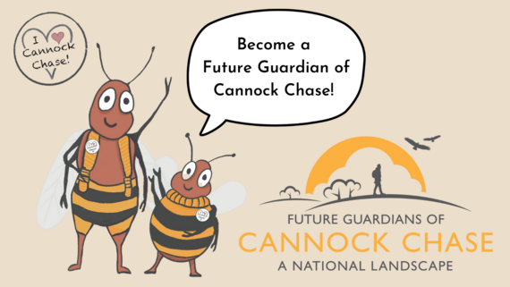 What's happening at Your Library in the Cannock Chase area this November