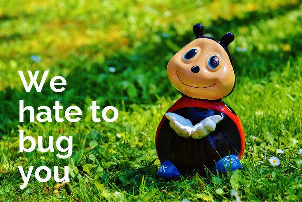 🐞🐞🐞 This is the last time we'll bug you 🐞🐞🐞