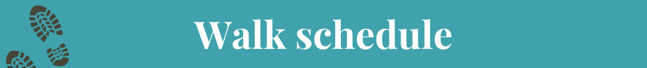 Health Walks - December Schedule