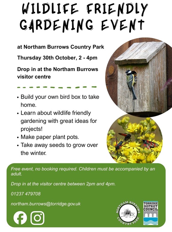 Free half-term events at Northam Burrows this October!