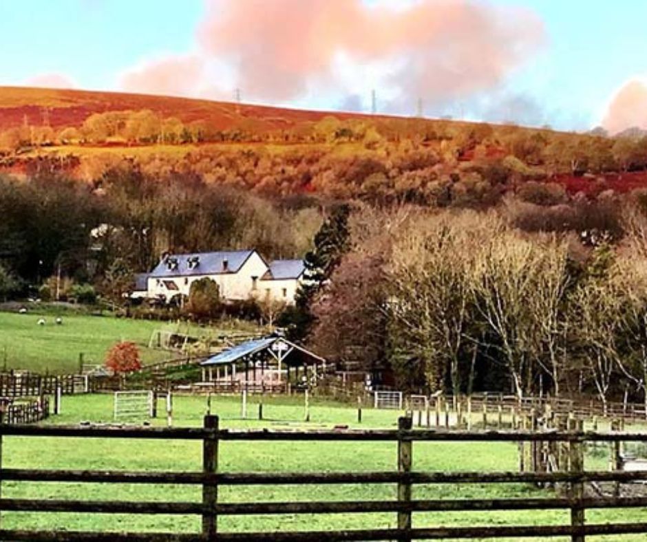 Torfaen Weekly News Special 9/9/2022