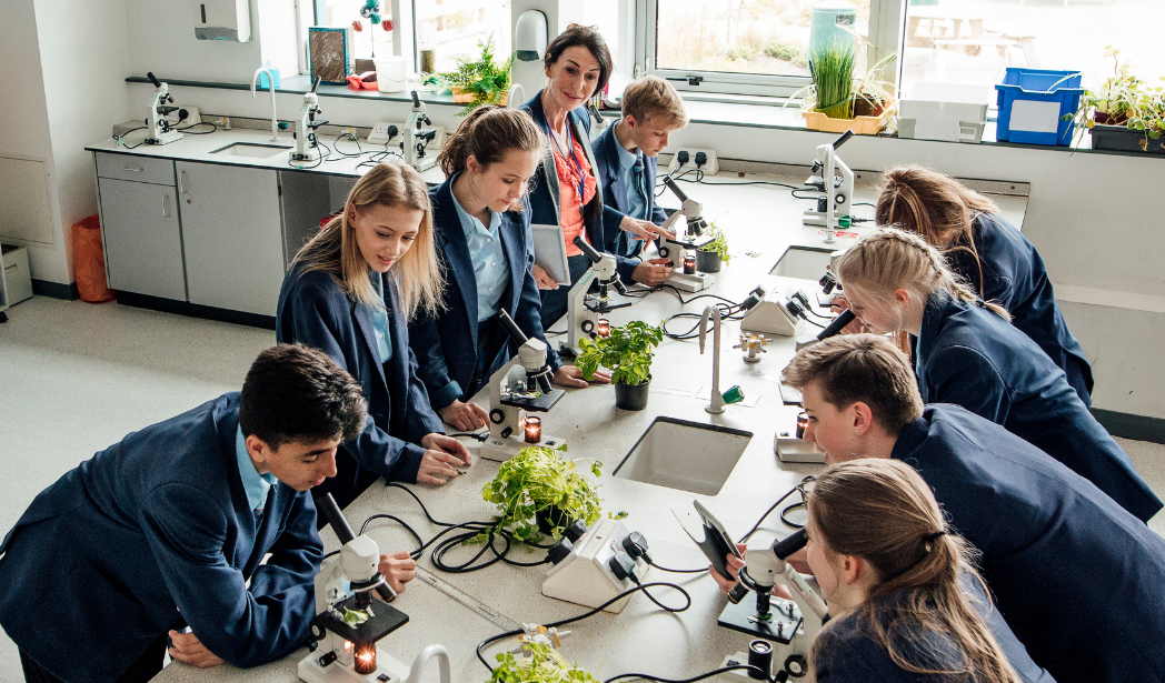 Dysg eNewsletter: 6 June 2025 • Issue 777