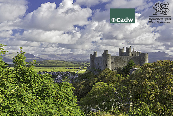 Cylchlythyr Cymru Gyfan | Ennillwch bag jiwt | Digwyddiadau Calan Gaeaf