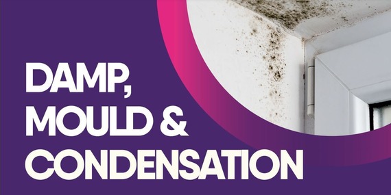 Attlee Terrace newsletter - November 2024