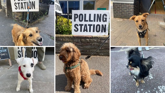 Residents' News General Election Special: Friday 5 July