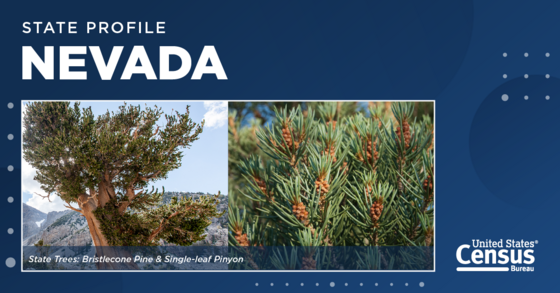 State Facts About Nevada, Its 159th Anniversary, and More