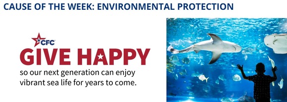 CORRECTED: AMS Voice: Happy Holidays to All