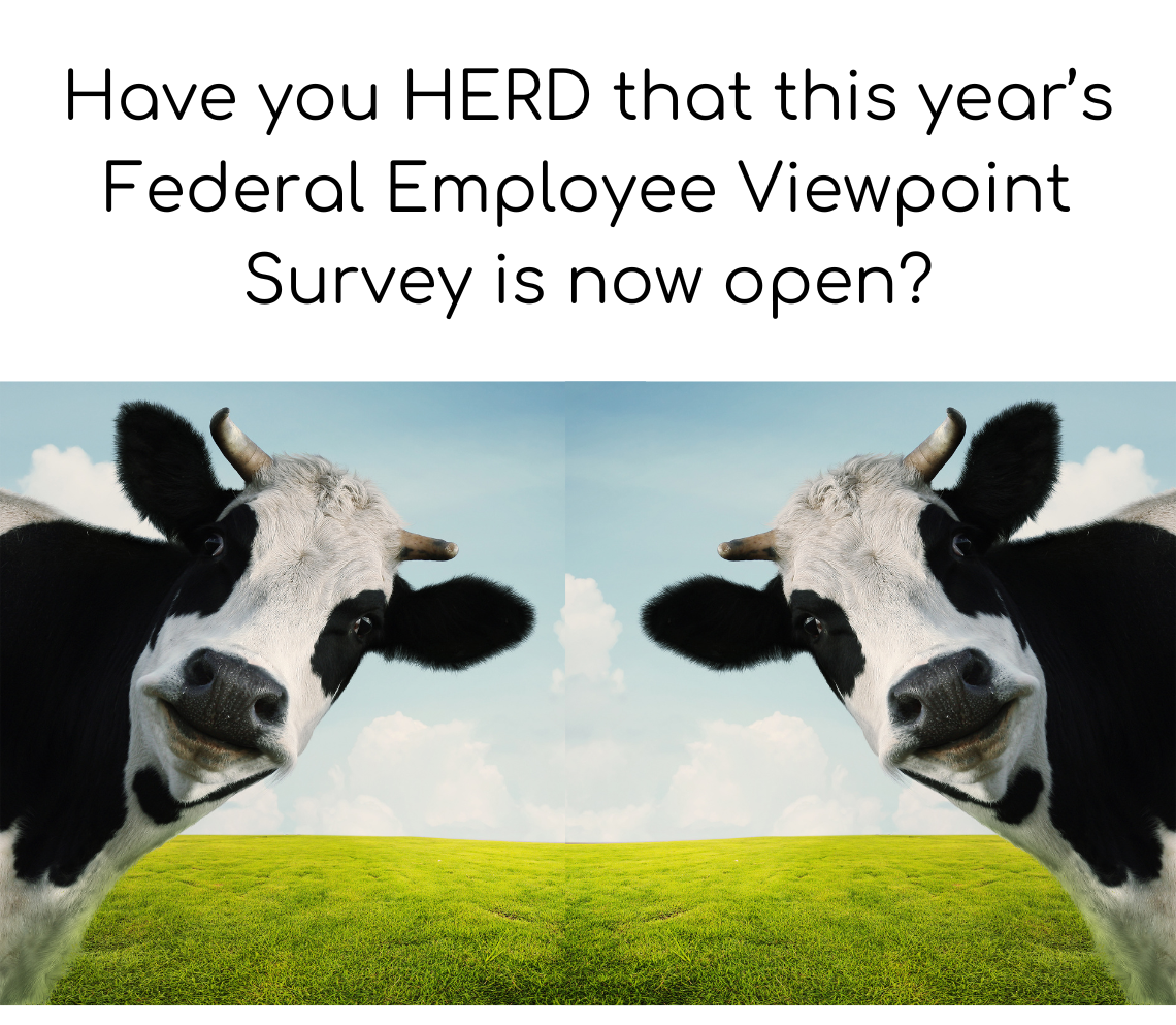 2024 Federal Employee Viewpoint Survey (FEVS)