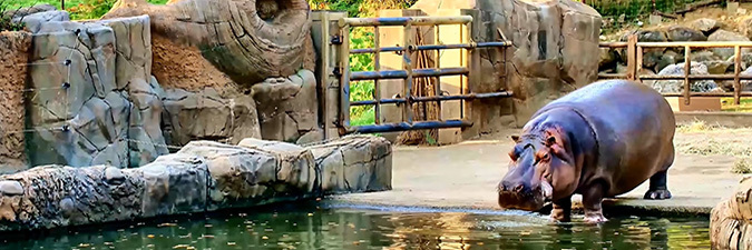 USDA Seeks Comment on Plan to Strengthen Regulations for Handling Wild ...