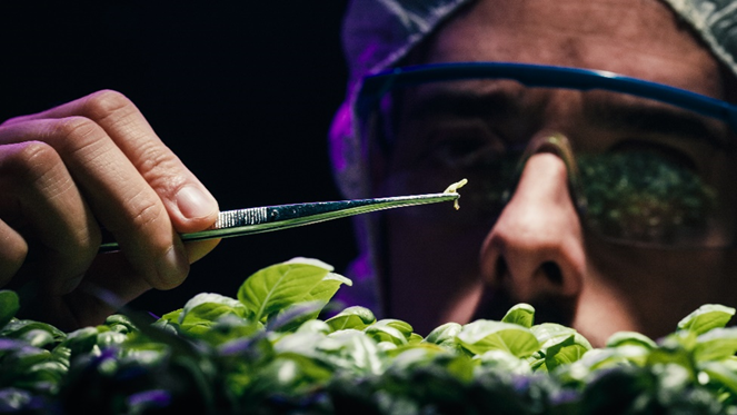 USDA Provides more than $70 Million to Protect our Food Supply and ...