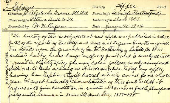 Heirloom fruit history recorded by USDA pomologists