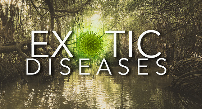 Taking on Emerging Animal Diseases at the Source