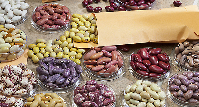 March Featured Photo: Colorful Beans