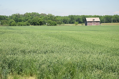 Enrollment now open for Ducks Unlimited cover crops program in Indiana ...