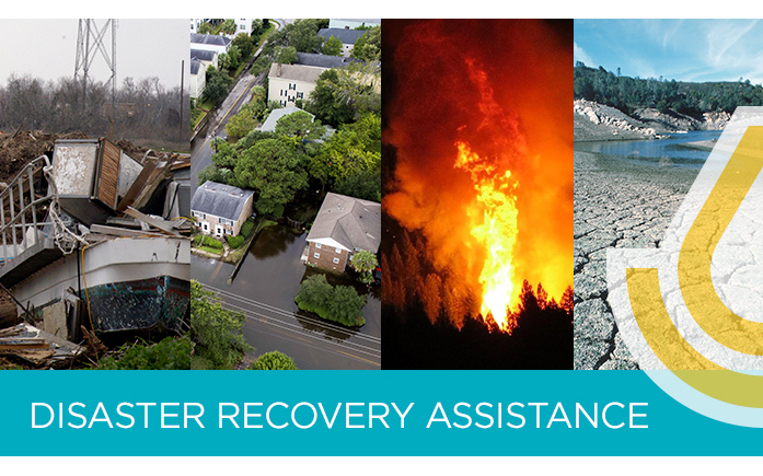 USDA to invest $50 million in new cooperative agreements for racial ...