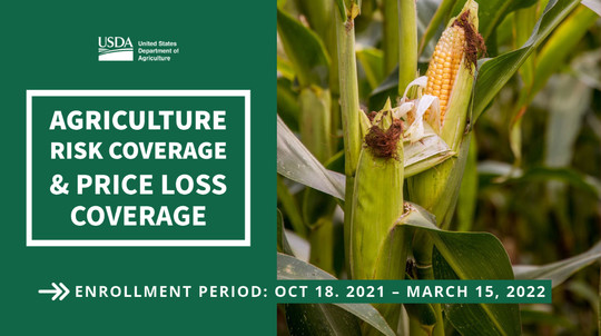 March 15 Marks the Deadline for Several USDA Programs, Crop Insurance