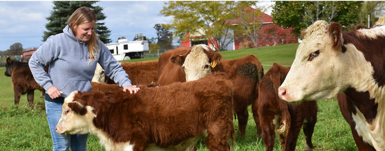 Wisconsin NRCS Announces Second EQIP Sign-up for 2022 Funding, Apply by ...