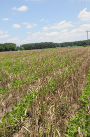 Seneca County USDA Service Center - May 2023