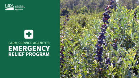 North Dakota FSA Update- ERP Phase 2 - Webinar: TODAY, May 1st @ 1:00 ...