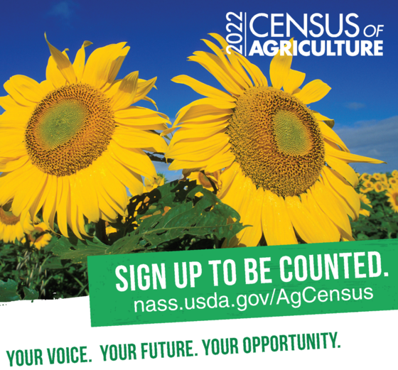 Indiana FSA News Bulletin - June 21, 2022