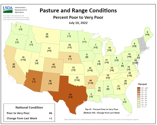 Texas Rangeland Conditions Worsen Amid Drought and Heat
