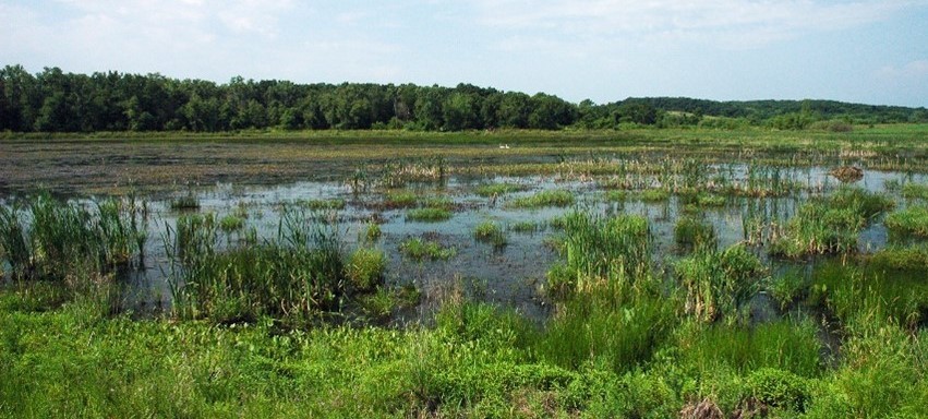 USDA Increases Funding for Partnerships to Safeguard, Restore Wetland ...