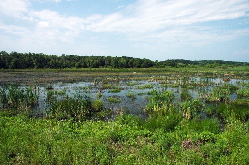 Indiana NRCS Announces Funding Available to Help Protect and Restore ...