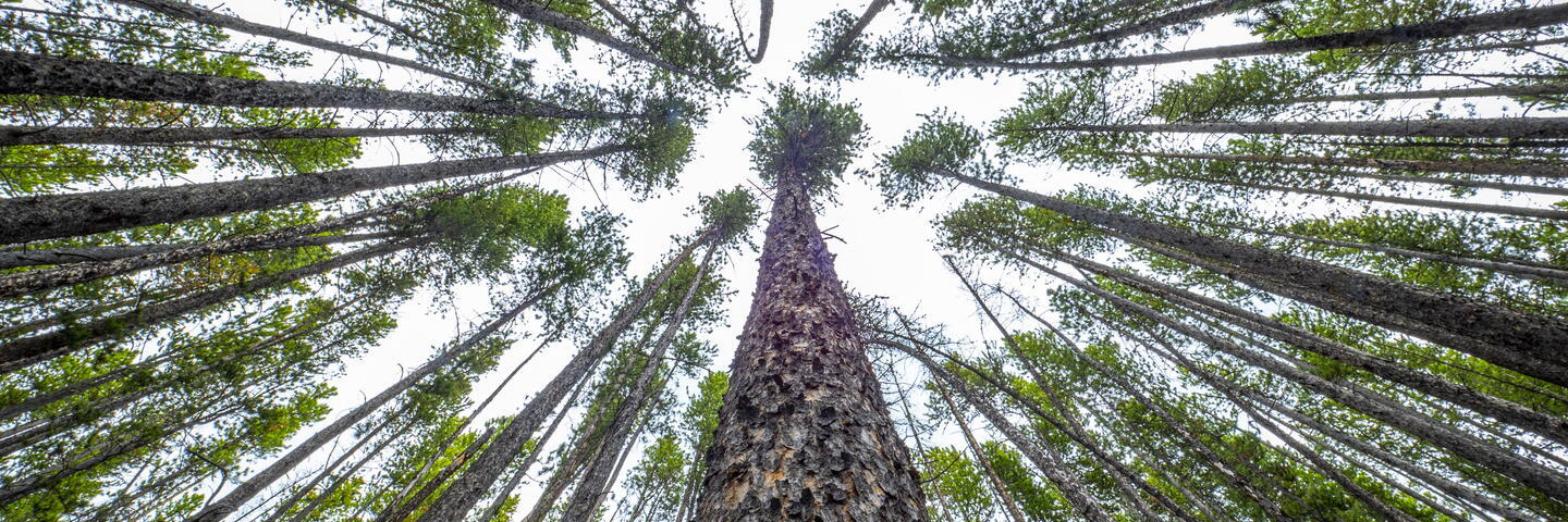 USDA offers conservation program opportunity for climate-smart agriculture