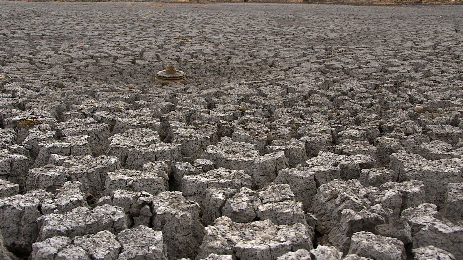USDA Designates Two Kansas Counties as Primary Natural Disaster Areas