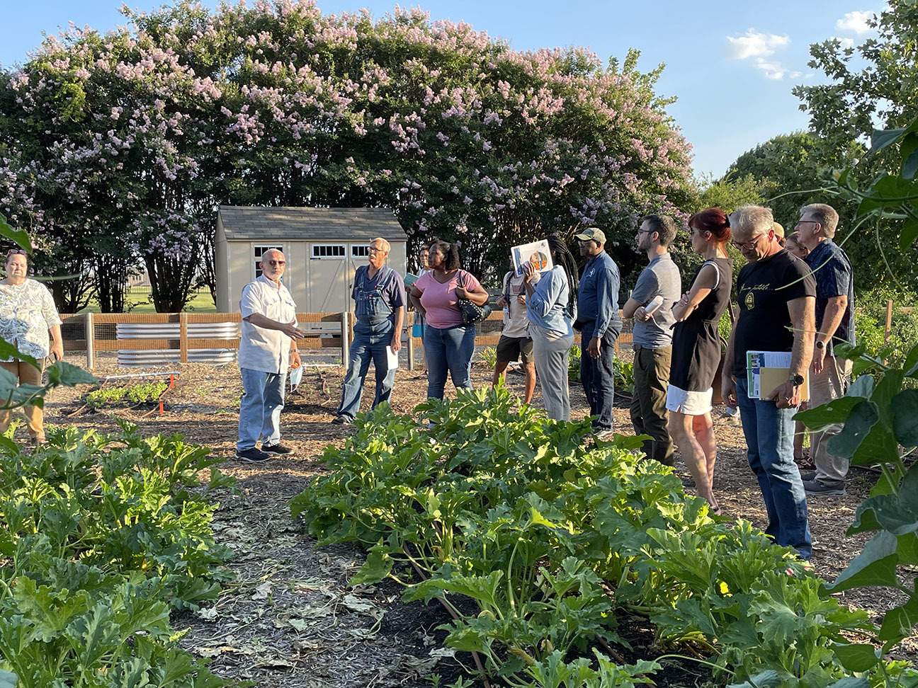Urban Agriculture Workshops Highlight Projects and Opportunities for ...