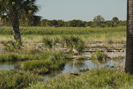 FLORIDA NRCS NEWS - March 2, 2023