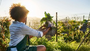 USDA NRCS Announcements