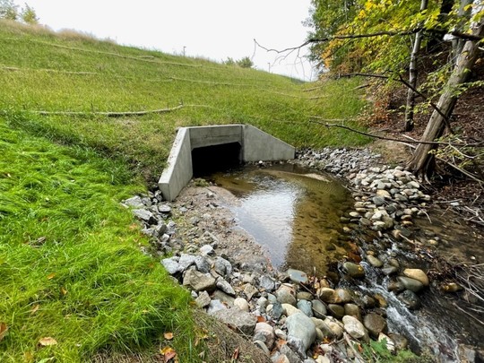 Restoring Michigan's Aquatic Ecosystems