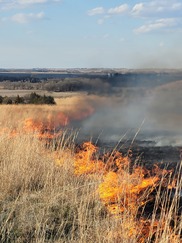 Cerro Gordo County USDA News and Updates