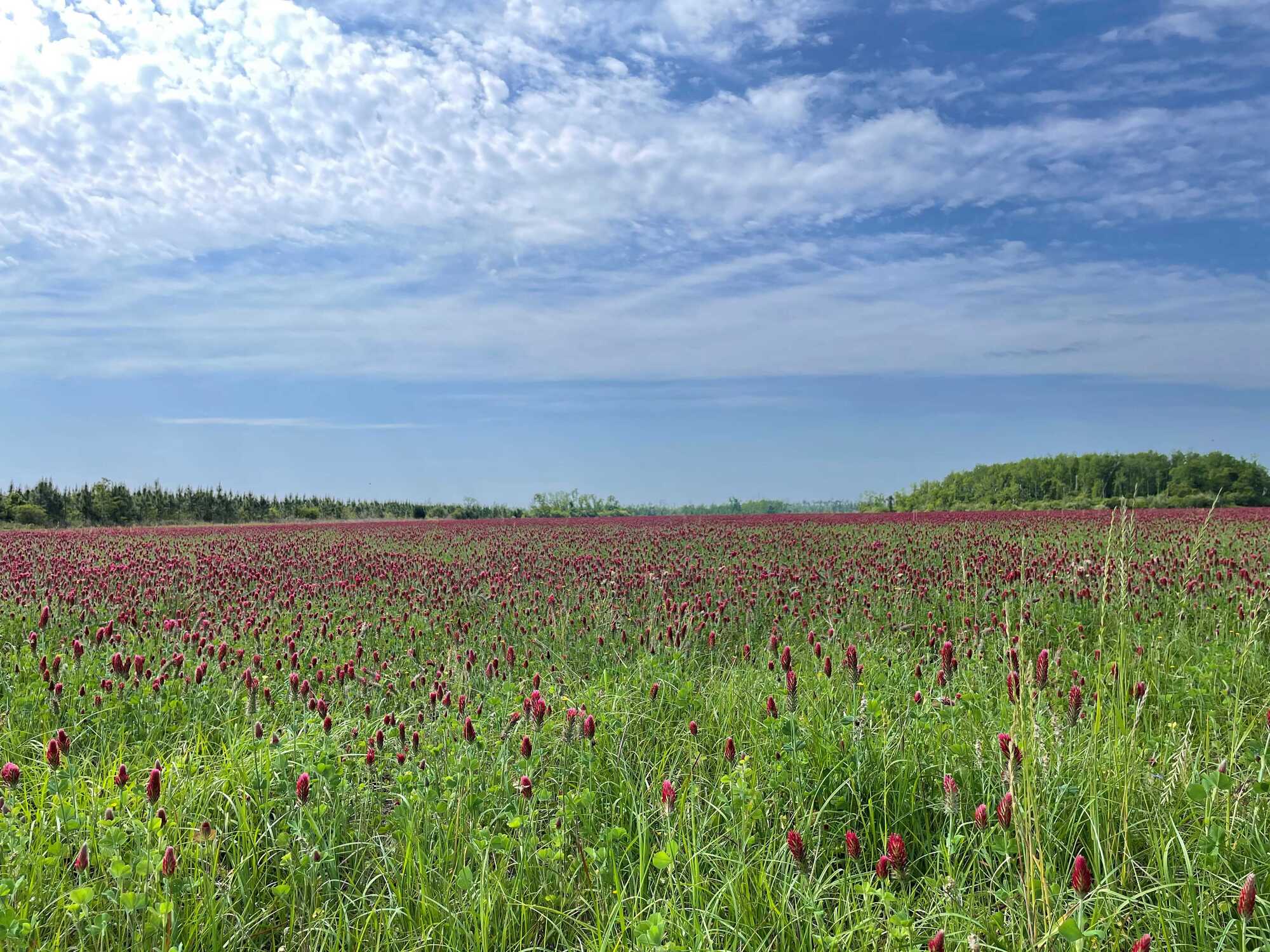 Funding Available for NRCS Conservation Programs