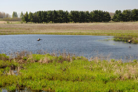 Missouri Bootheel Project Included in USDA’s $17 Million Wetland ...